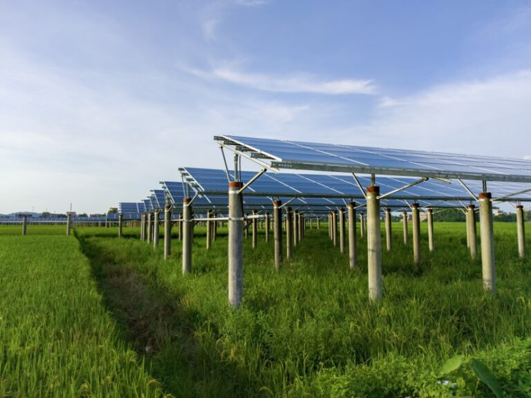 Meridian and Nova Secure $177 Million for Solar Project in New Zealand ...
